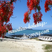 National History Museum of Mauritius